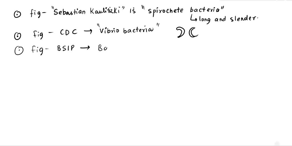 SOLVED: Match the bacterial cell shape with the correct image. There is ...