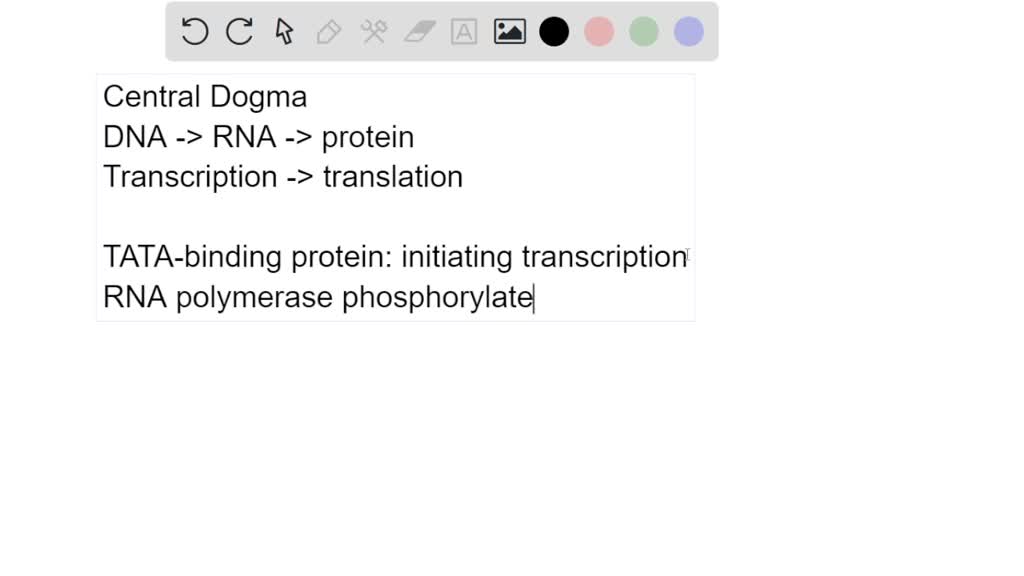 SOLVED: Place the labels in the correct column. Torpedo and allosteric ...