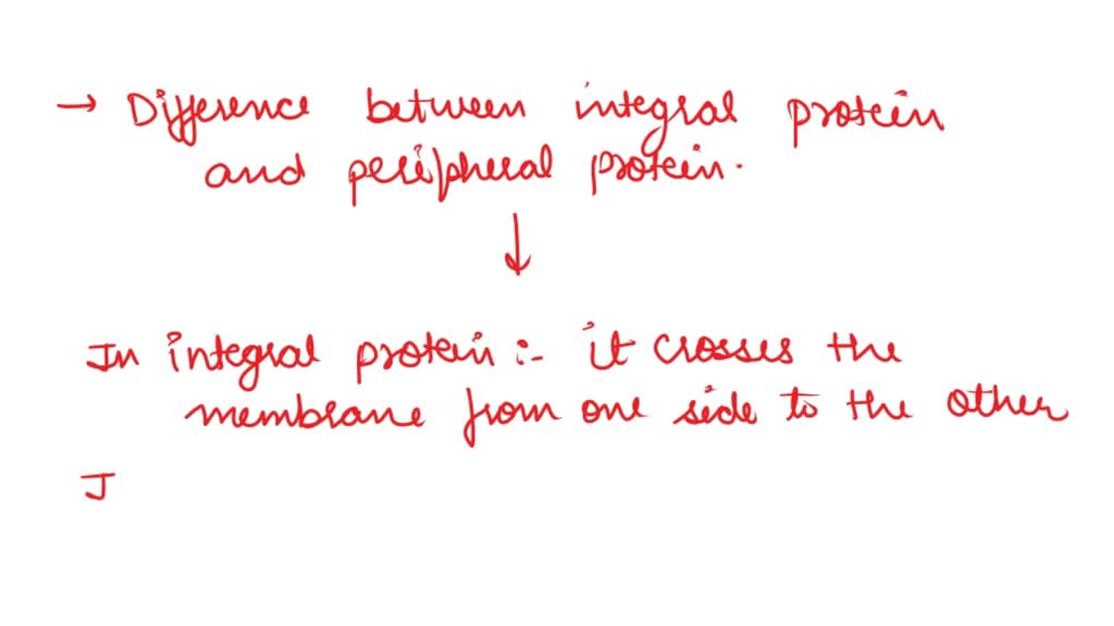 SOLVED: In cell membranes, the difference between integral proteins and peripheral proteins is ...