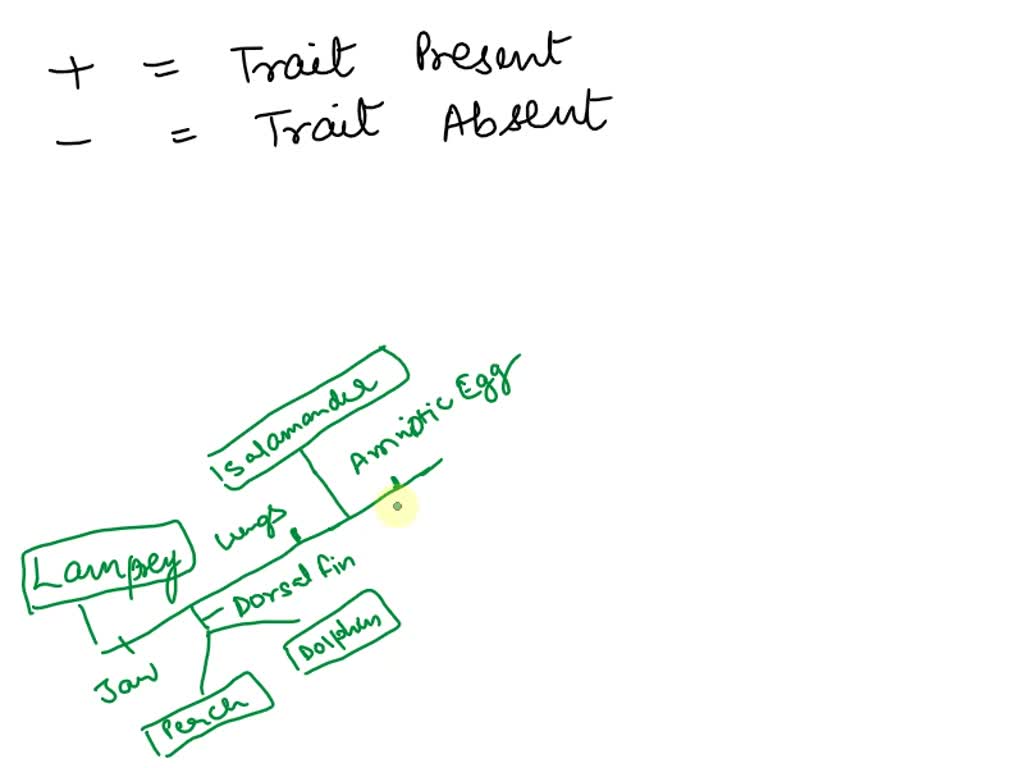 SOLVED: Construct a cladogram using the data in the table below. Map the features onto the ...