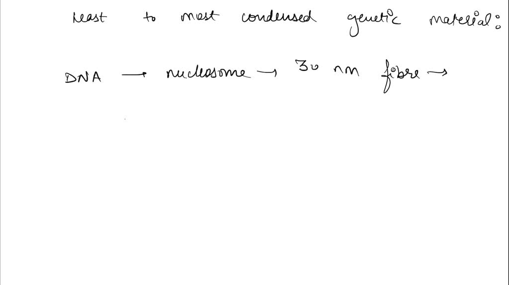 SOLVED: Select the correct order of chromatin structural organization ...
