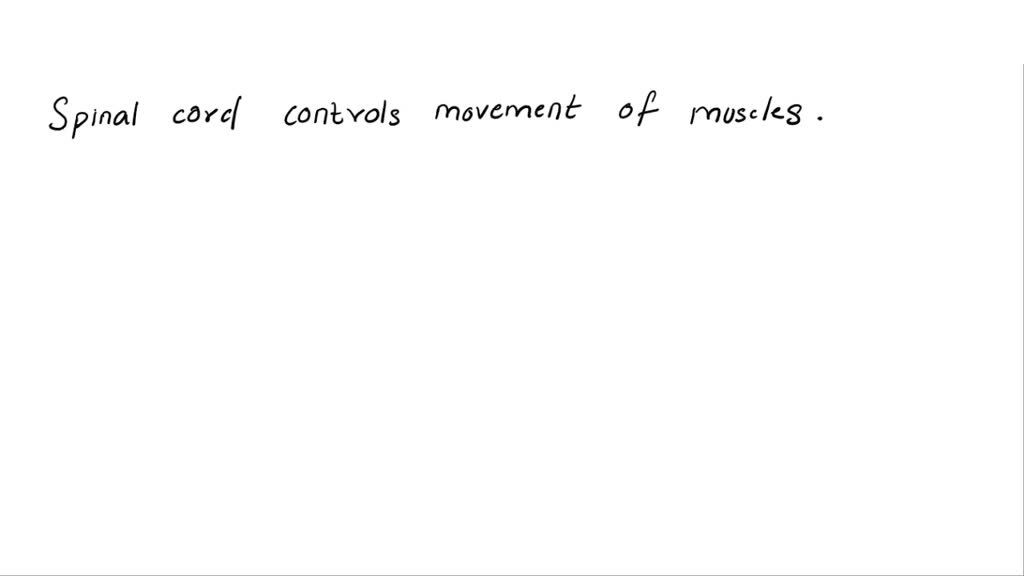 Solved Write A Matlab Script To Generate 100000 Random Samples For