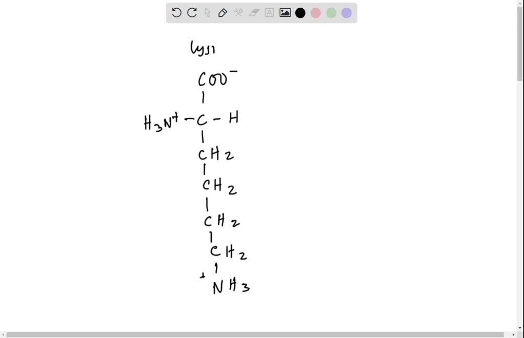 SOLVED: Intermolecular Forces Draw lysine and glutamic acid. What ...