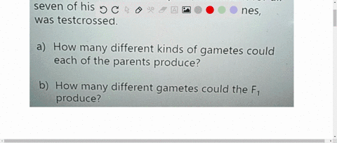 The pea plants used in Mendel's genetic inheritance studies were ...