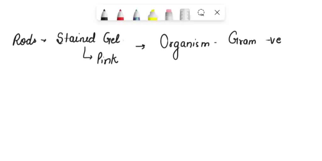 SOLVED: Assume you perform a Gram stain on a culture you know contains ...