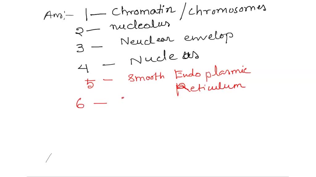 SOLVED: 'cell structure and major cell types Cell Structure and Major ... SOLVED: 'cell structure and major cell types Cell Structure and Major ...