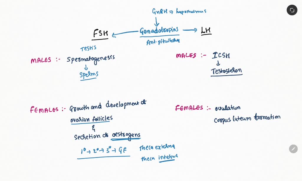 SOLVED: Write the role of FSH and LH in male and female?