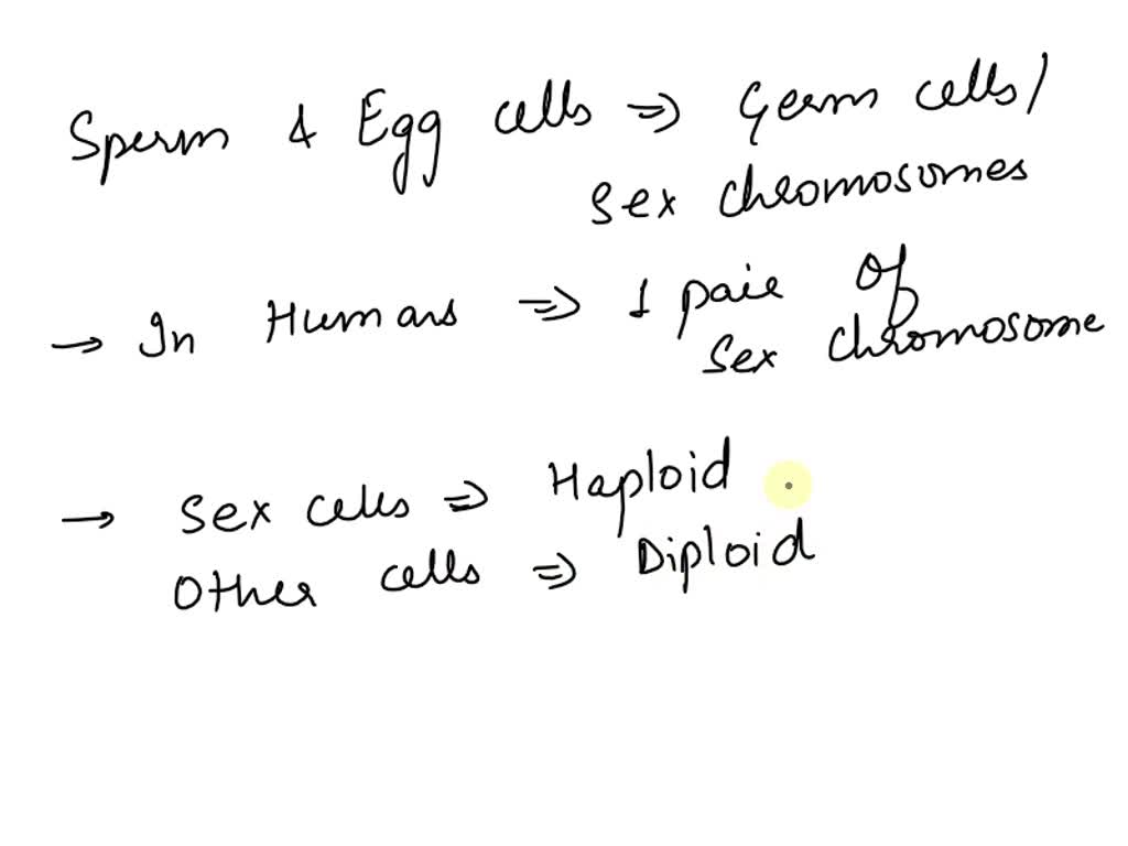 SOLVED: QUESTION 10 The products of meiosis are: O gametes. O haploid ... SOLVED: QUESTION 10 The products of meiosis are: O gametes. O haploid ...