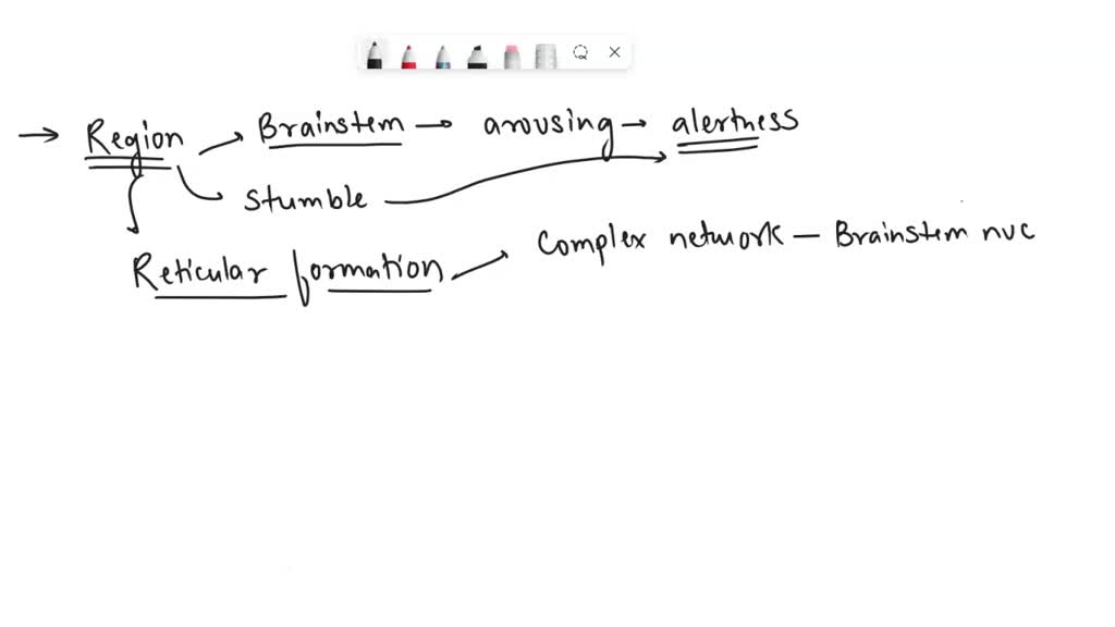 SOLVED: Which region of your brainstem plays a role in arousing you to ...
