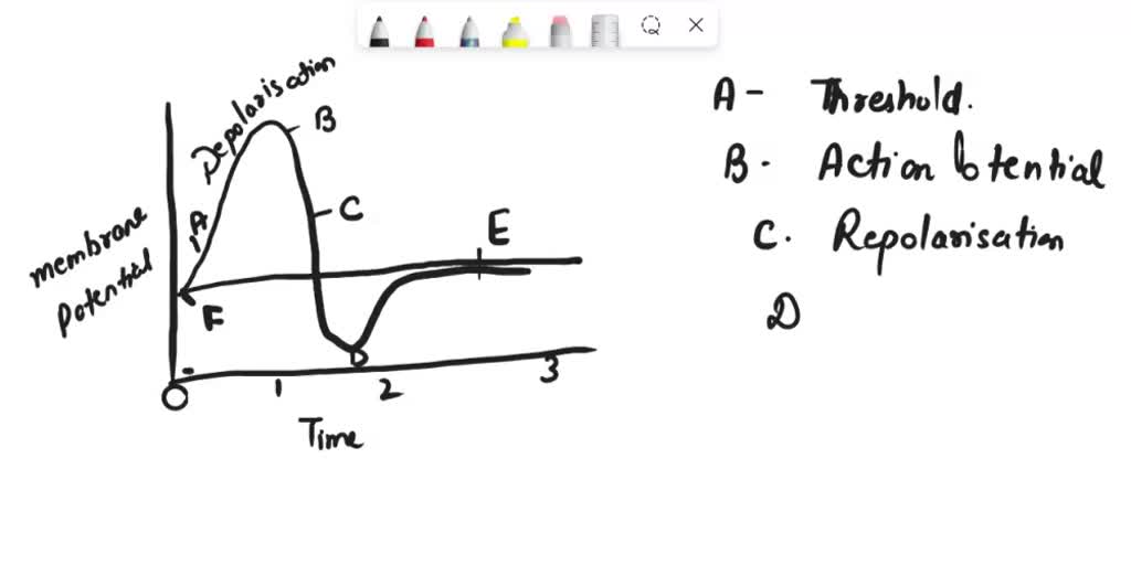 SOLVED: 14. Label the graph showing the voltage-vS. time relationship ...
