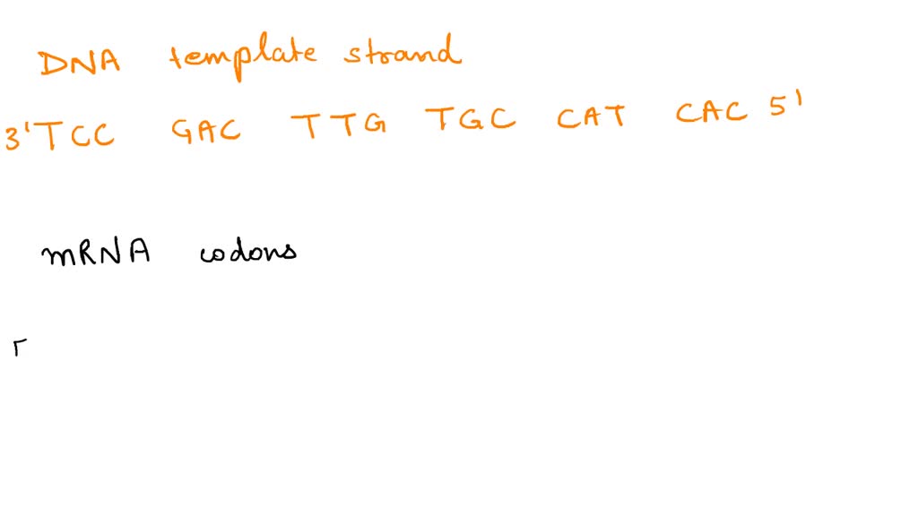 SOLVED: 'Complete the table below showing the sequences of DNA, mRNA ...