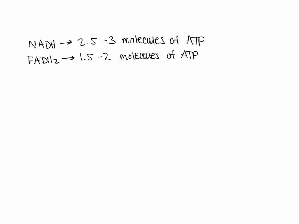 SOLVED: Drag and drop the number of ATP and/or oxygen molecules produced or needed during the ...