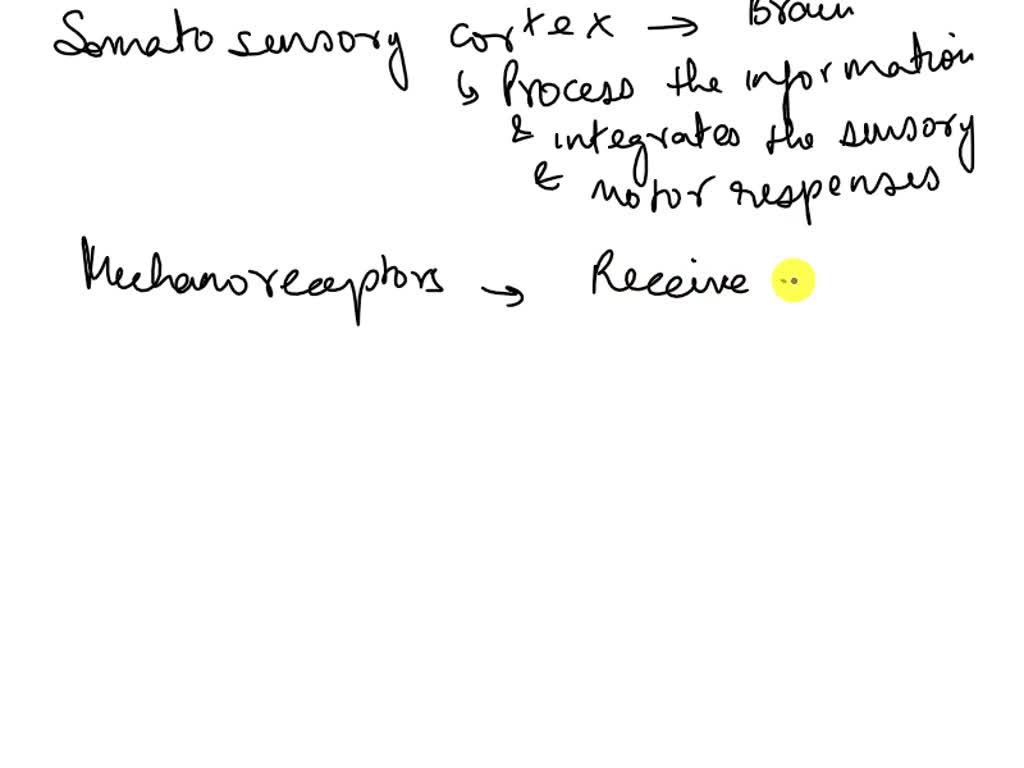 SOLVED: when determining the two point discrimination, whats the ...