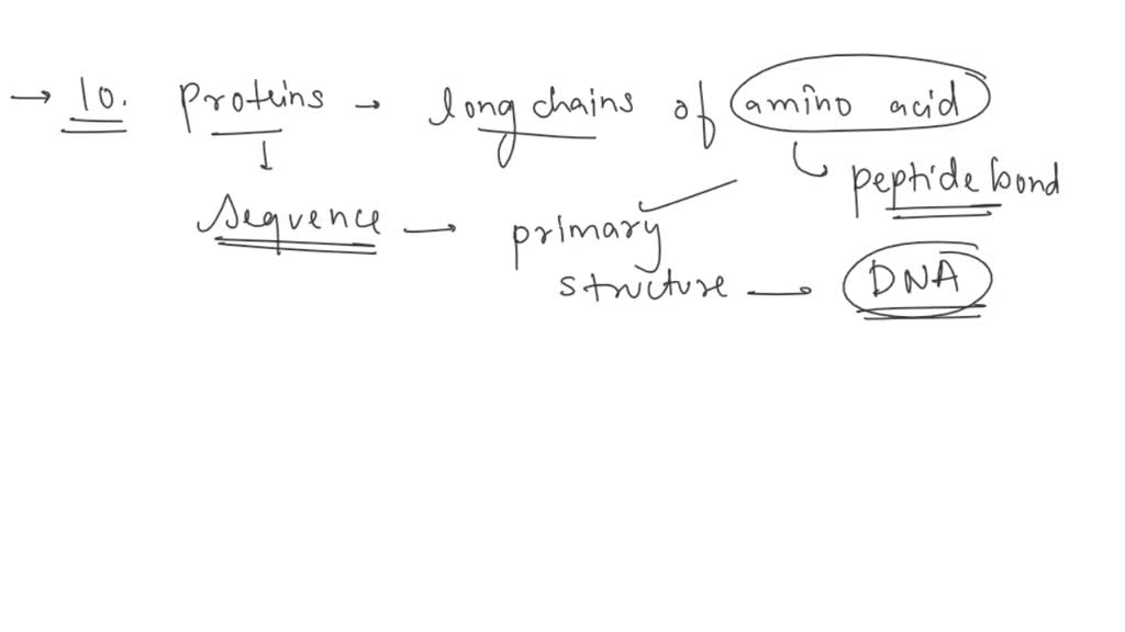 SOLVED: Which is true Group of answer choices DNA can determine the ...