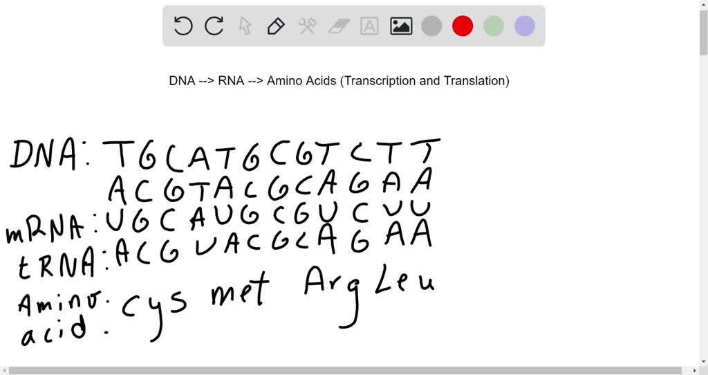 SOLVED: Use the genetic code to complete the following table: Assume that the reading frame of ...