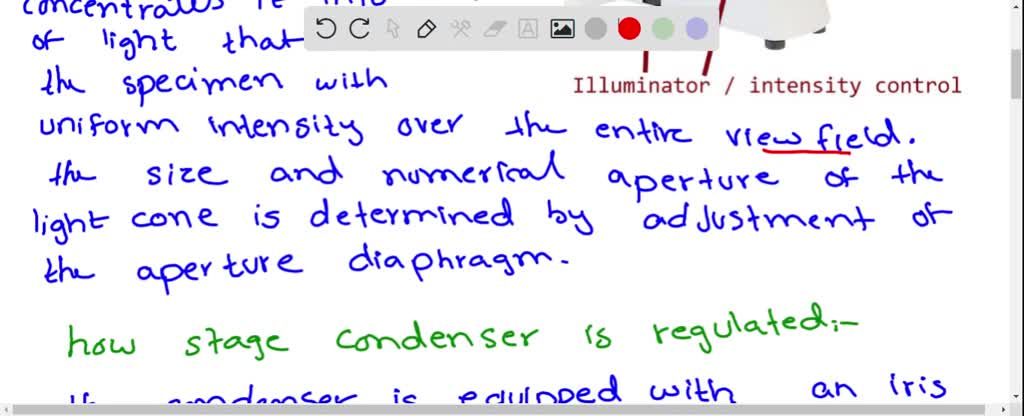 SOLVED: Locate the substage condenser on your microscope. What is its ...