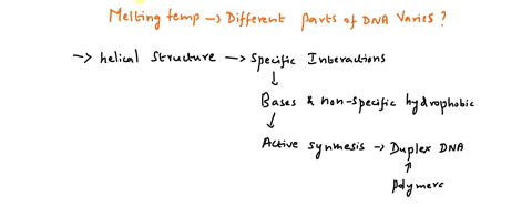 3. When double-stranded DNA is heated, the two strands...