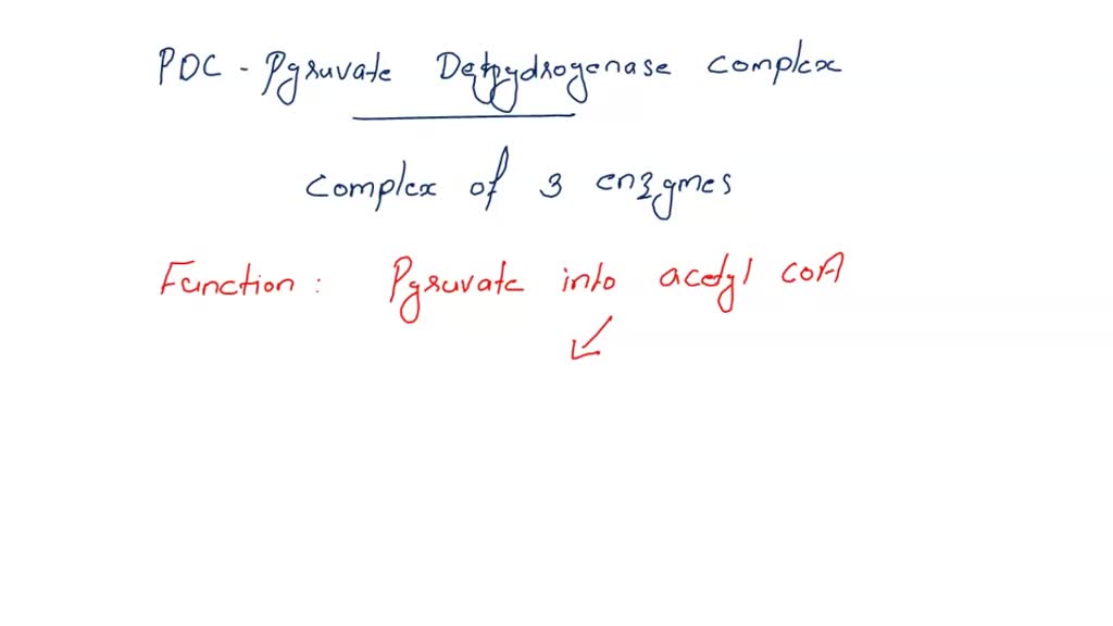 SOLVED: Thiamin pyrophosphate (TPP) is a co-enzyme of pyruvate ...