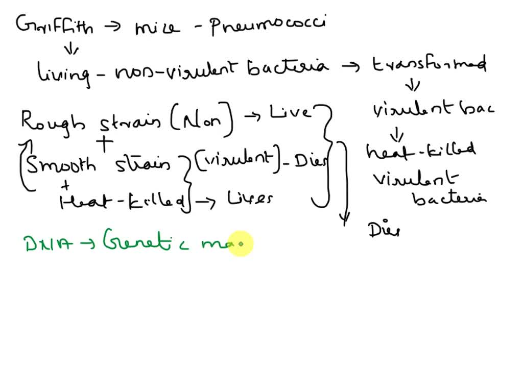 SOLVED: How did Fred Griffith discover transformation? and Describe the ...
