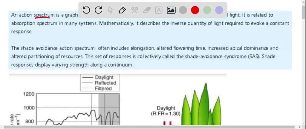 SOLVED: Define action spectrum. Create a labeled diagram of an action ...