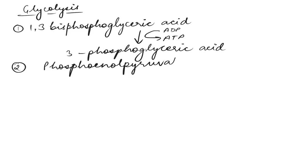 SOLVED: In most cells, ATP is generated through two primary mechanisms ...