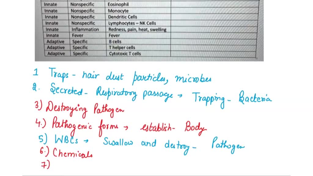 SOLVED: Innate and Adaptive Immunity Graphic Organizer Please take the ...