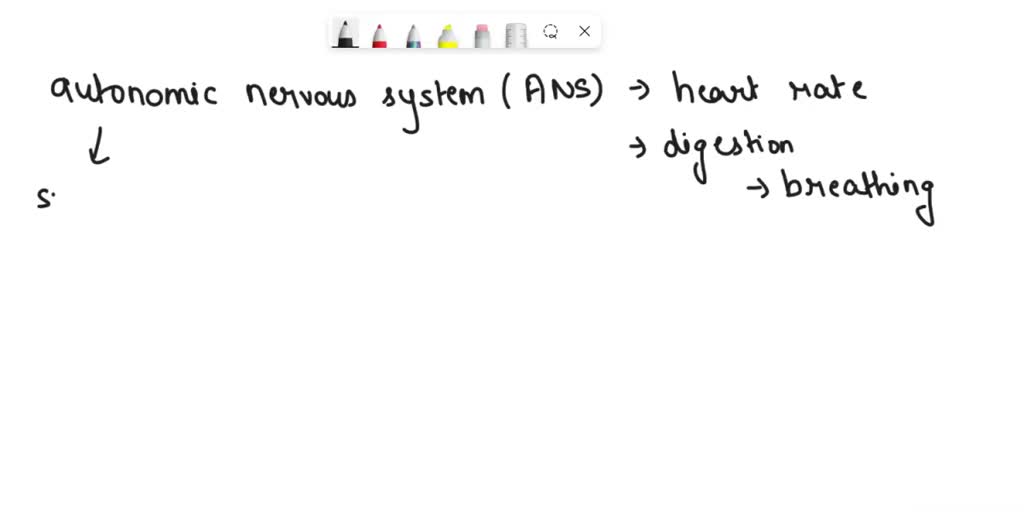 SOLVED: Unit 14 AS1: The Autonomic Nervous System and Special Senses A ...