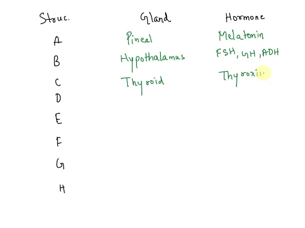 SOLVED: Complete the letters A-H below with the name of the endocrine ...