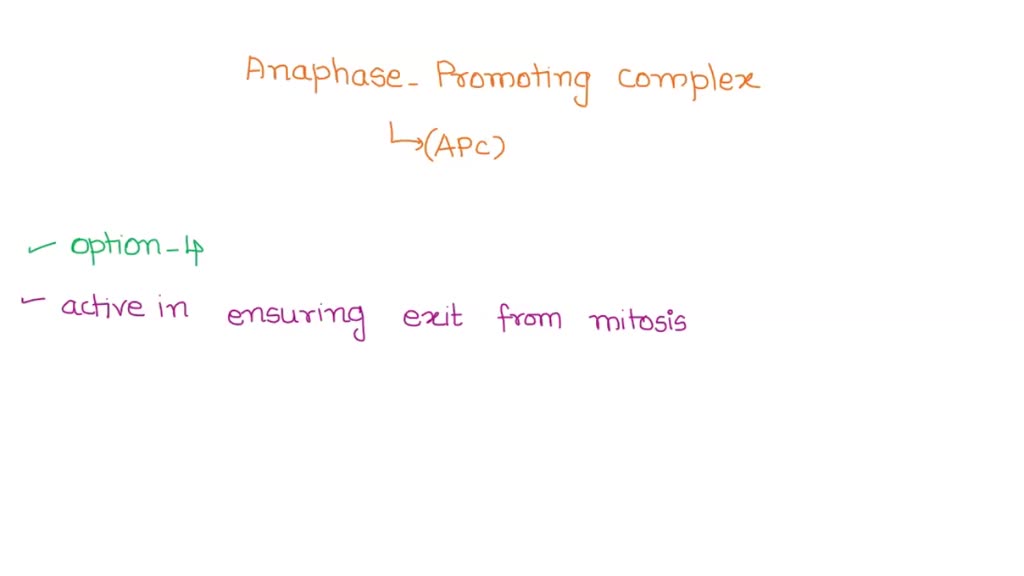 SOLVED: Which one of the following statements about the Anaphase ...