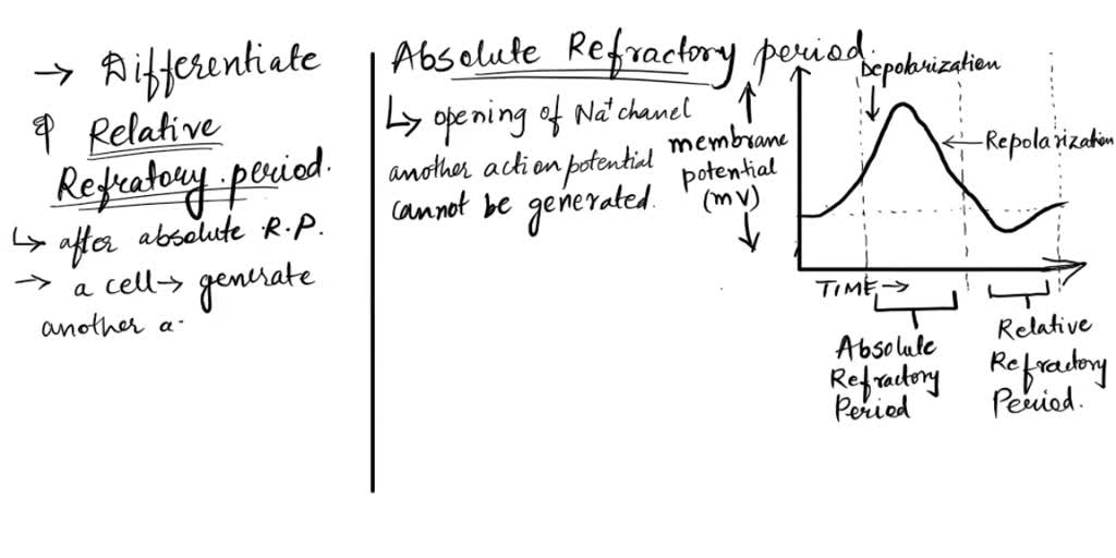 SOLVED: what is the difference between the absolute refractory period ...