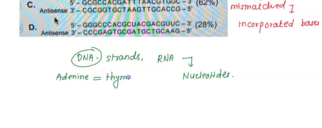 SOLVED: Which of the following nucleic acid complexes would undergo ...