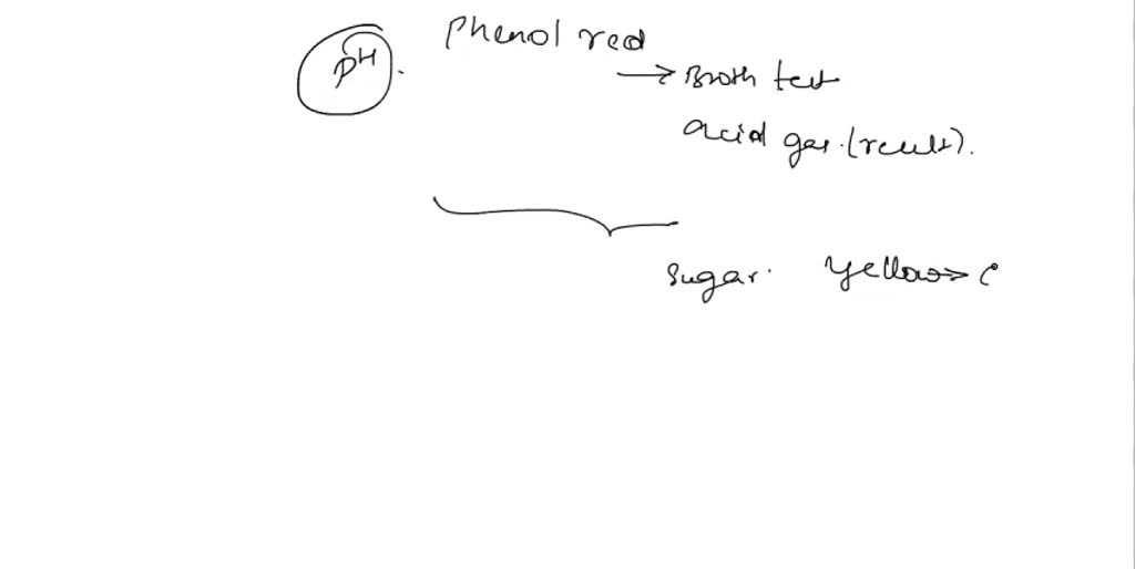 SOLVED: How do the products of the reaction relate to the phenol red ...