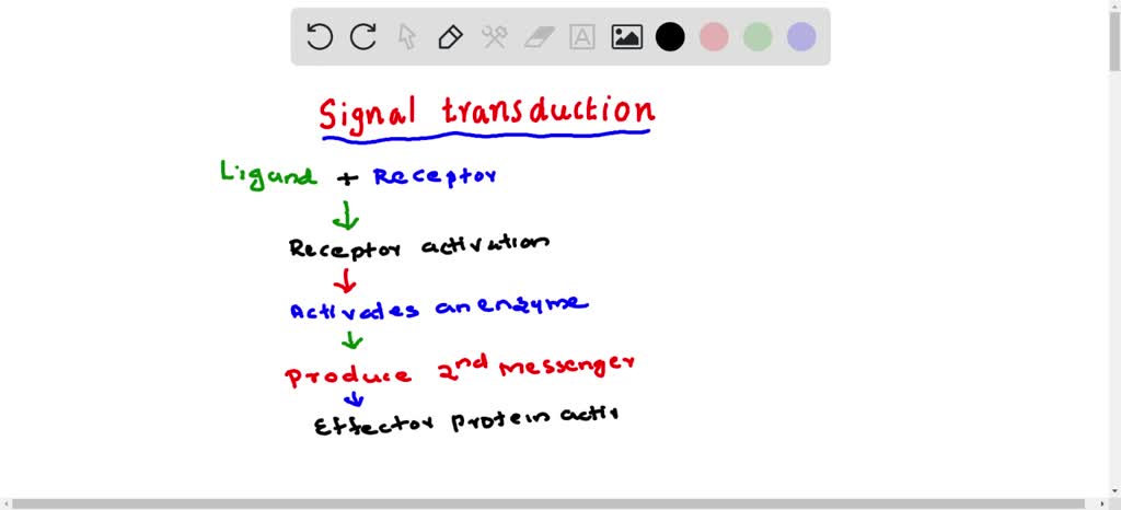 SOLVED: A signal transduction pathway includes the steps listed below ...
