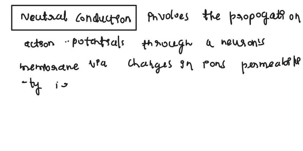 SOLVED: Discuss the process of neural conduction including the ionic ...