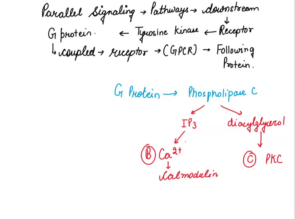 SOLVED: Question 2 points eVc enecr In the following diagram showing ... SOLVED: Question 2 points eVc enecr In the following diagram showing ...