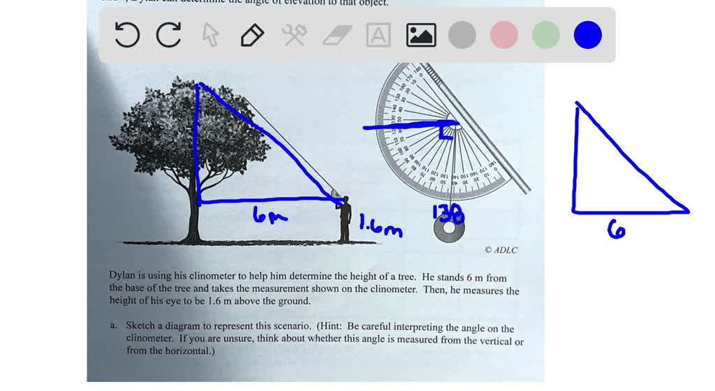 SOLVED: 'B. Determine the height of the tree, to the nearest tenth of a ...