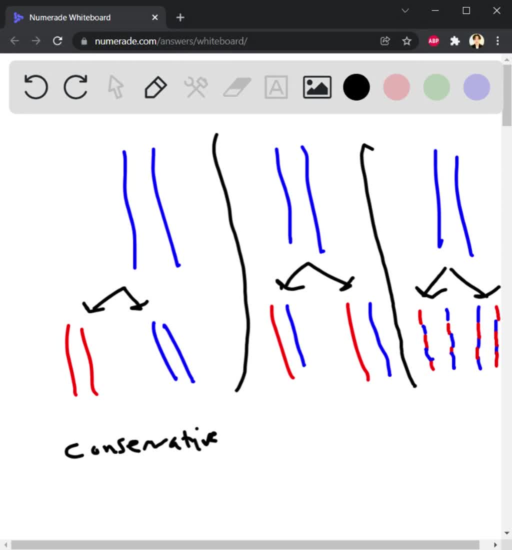 VIDEO solution: abel each diagram with the appropriate model of DNA ...