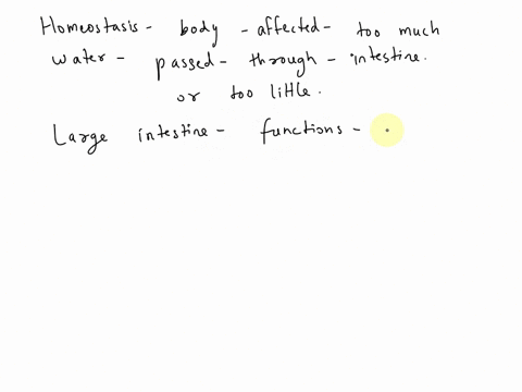 How is homeostasis disrupted in the body if too much water...