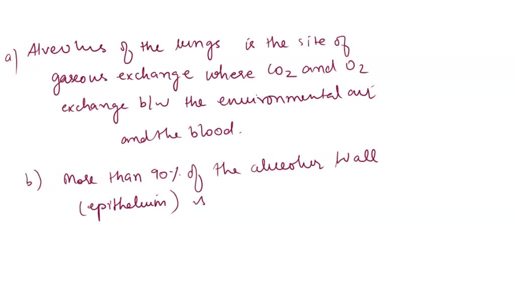 SOLVED: Activity Demonstrating Lung Inflation in a Sheep Pluck The ...
