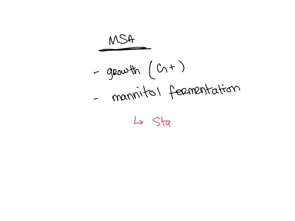 SOLVED: An unknown specimen was drawn. Mannitol Salt agar (MSA) Observe ...