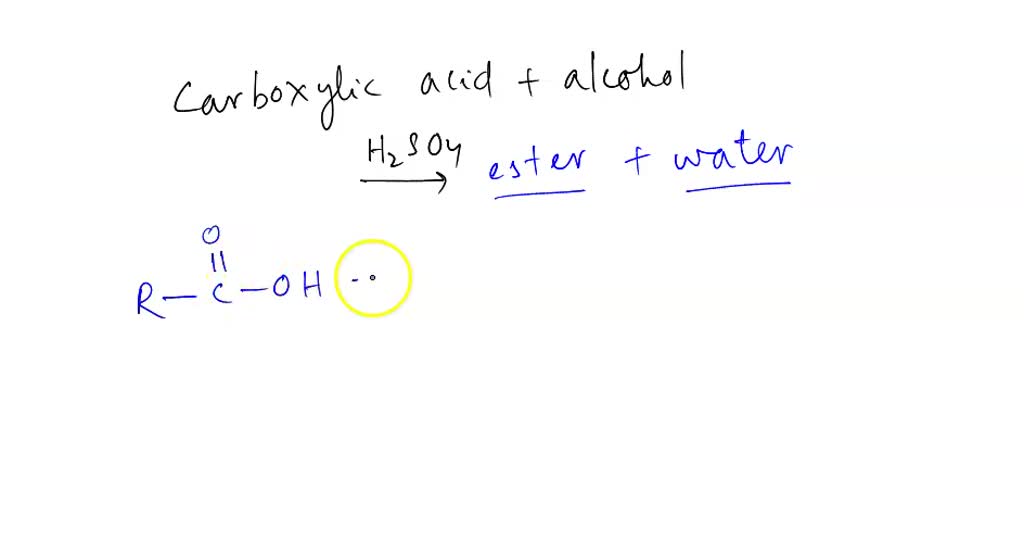 SOLVED: What products are produced when J carboxylic acid reacts with ...