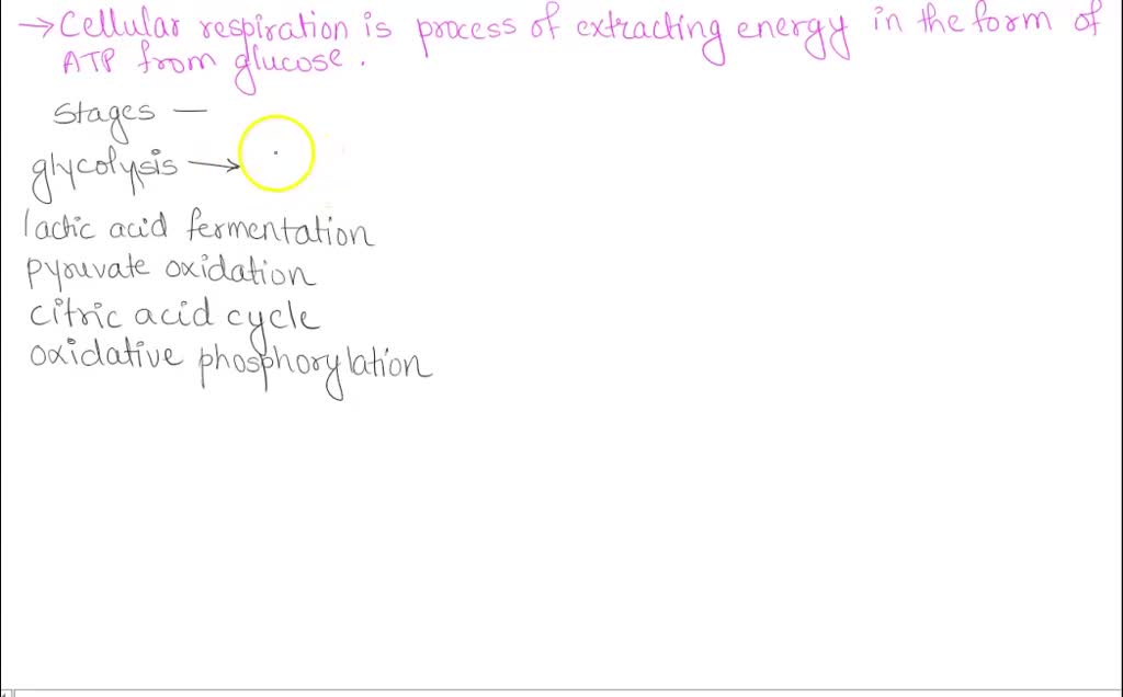 SOLVED: Answer the question ad do the definitions. Electron transport ...