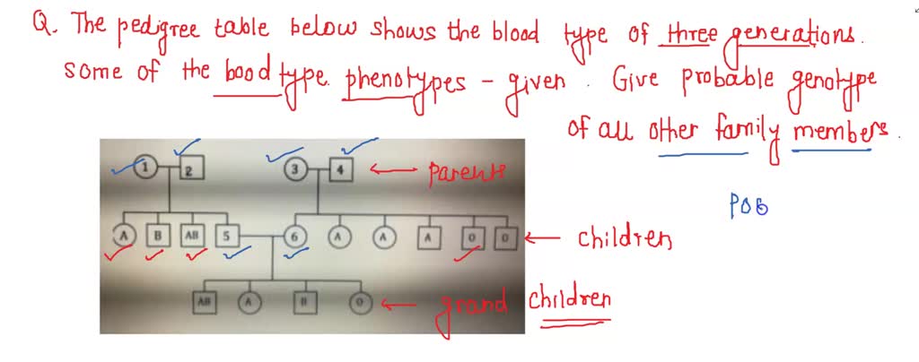 SOLVED: Part 1: The pedigree table below shows the blood types of three ...