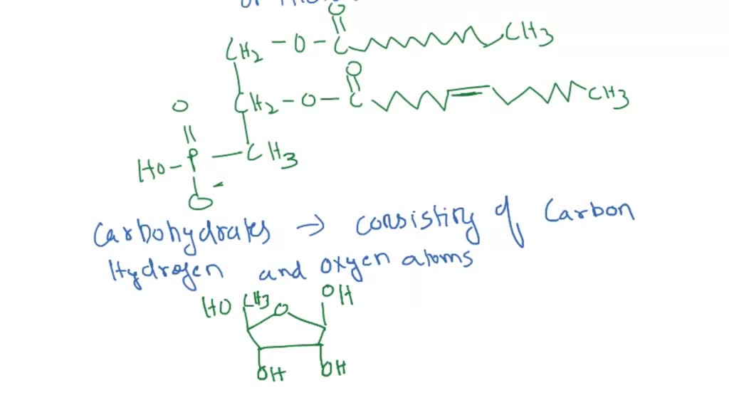 SOLVED: Most of a cell's molecules can be classified as belonging to ...