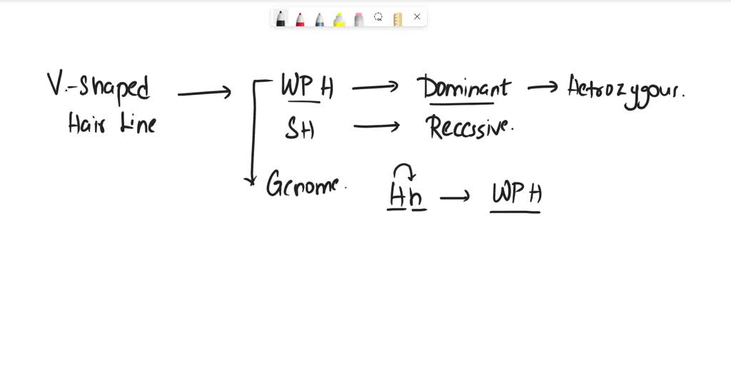 SOLVED: A widow’s peak hairline is dominant to straight hairline. Cross ...