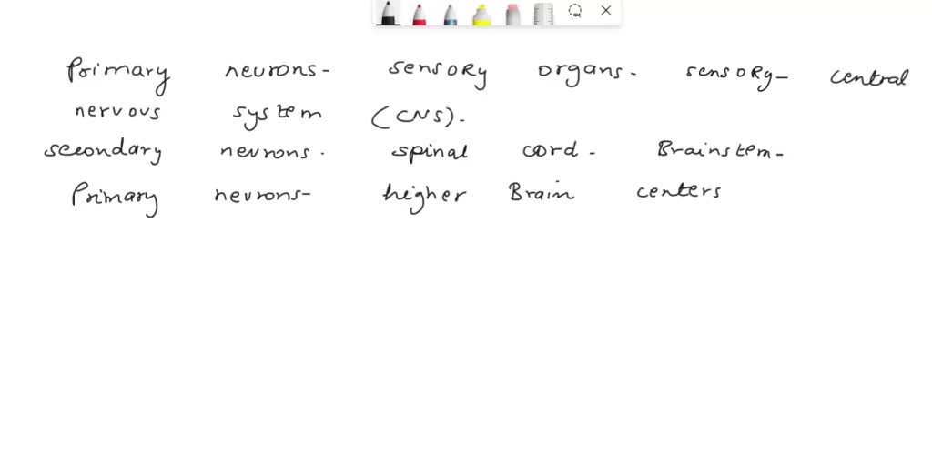 SOLVED: Distinguish between primary, secondary, and tertiary sensory ...