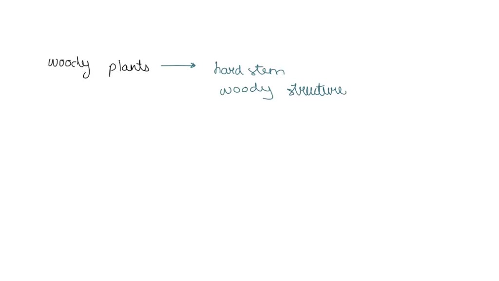 SOLVED: Name at least three examples of woody plants that are trees and ...