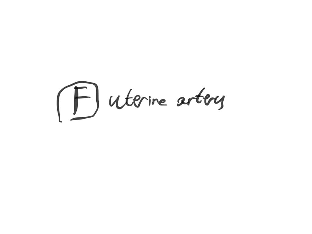 SOLVED: A 50-year-old woman undergoes operative removal of a 22-cm ...