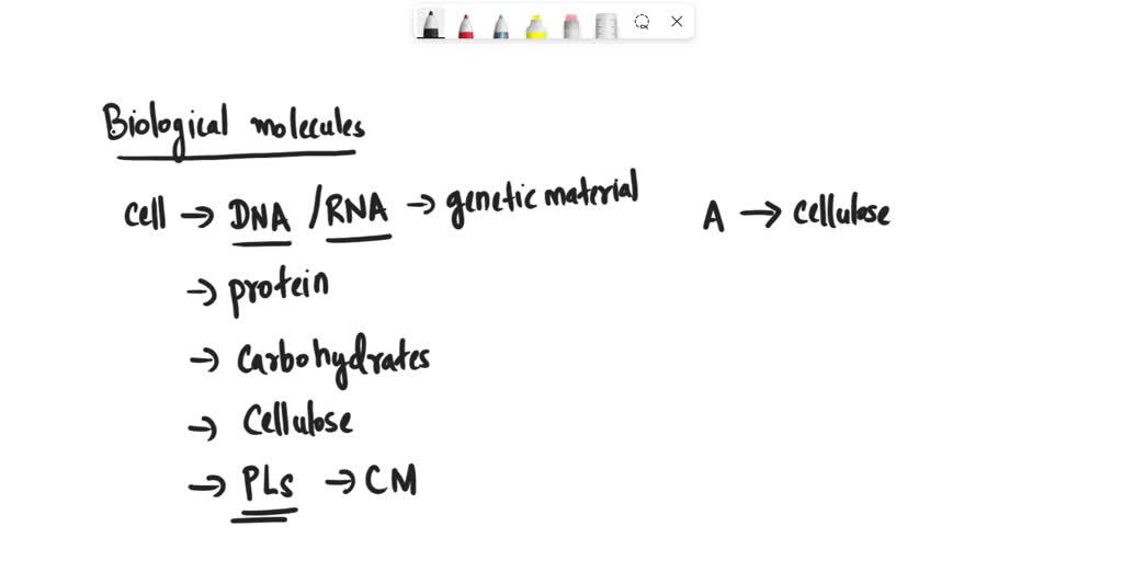 SOLVED: Match the biological molecules with their function: RNA DNA ...