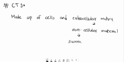 Connective Tissue Histology - Introduction to Connective Tissue ...